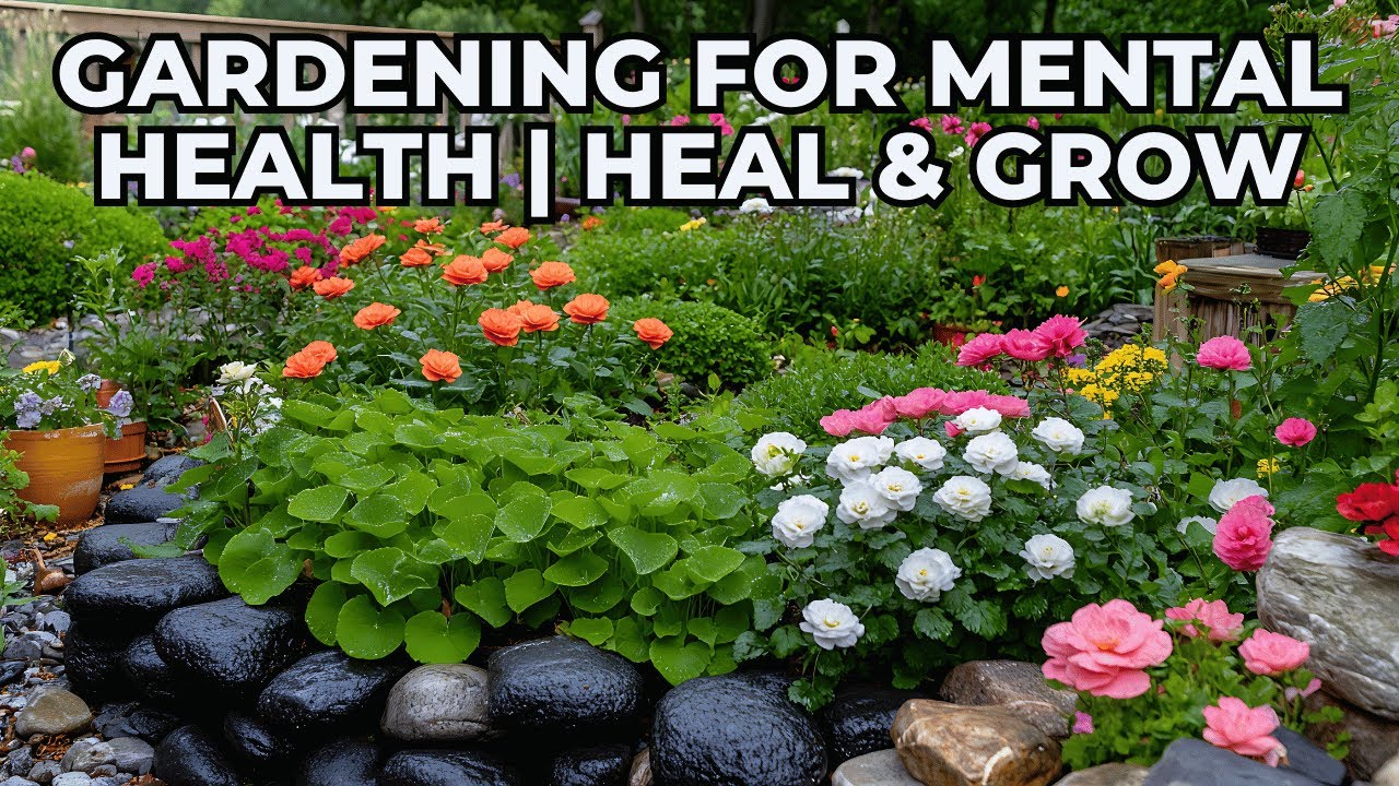 Gardening for Mental Health | How Plants Help You Heal & Grow - YouTube