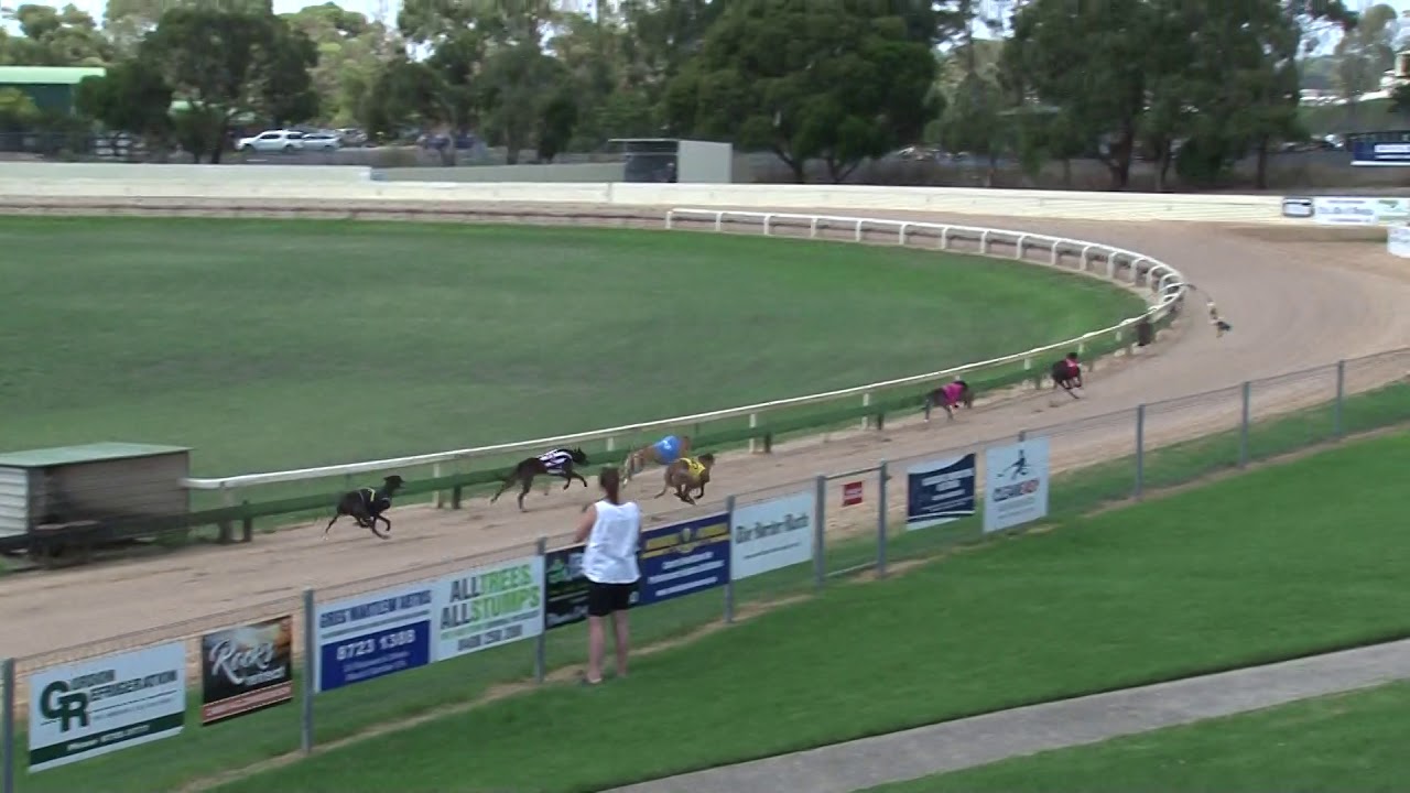 Mt-Gambier-13022020-Race-11 - YouTube
