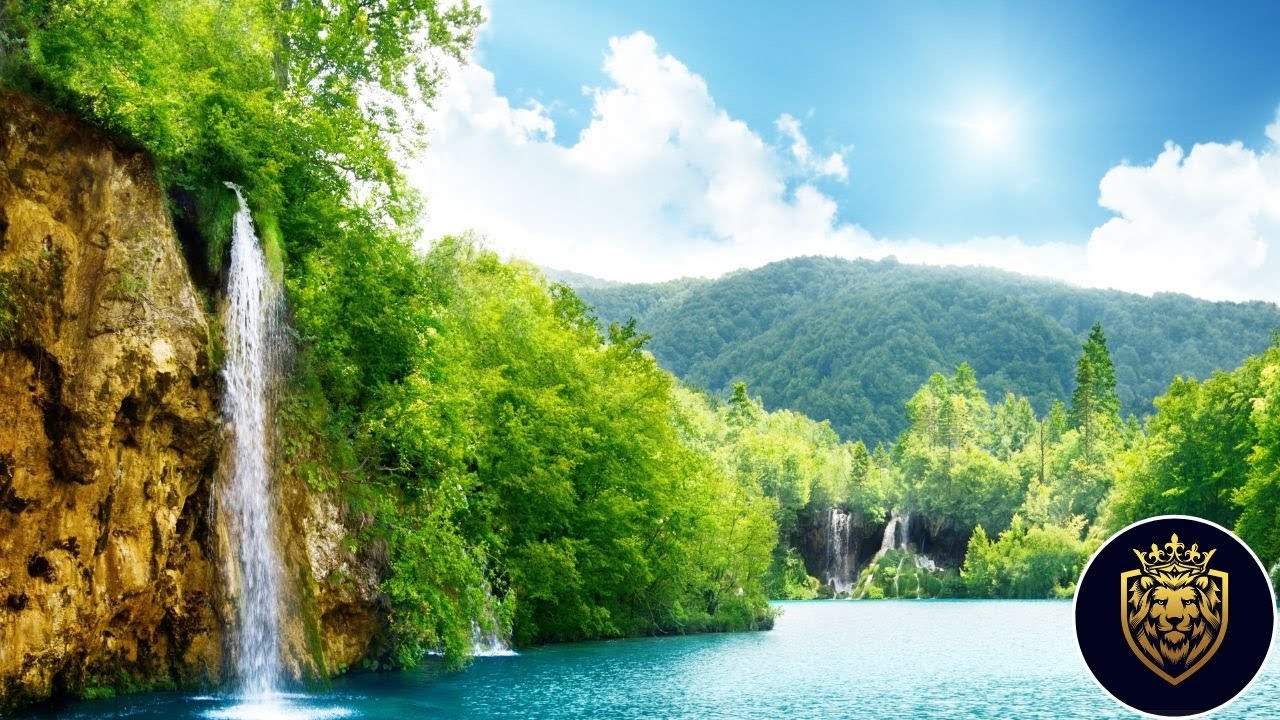 Beautiful Relaxing Music • Peaceful Piano Music & Guitar Music | Sunny ...