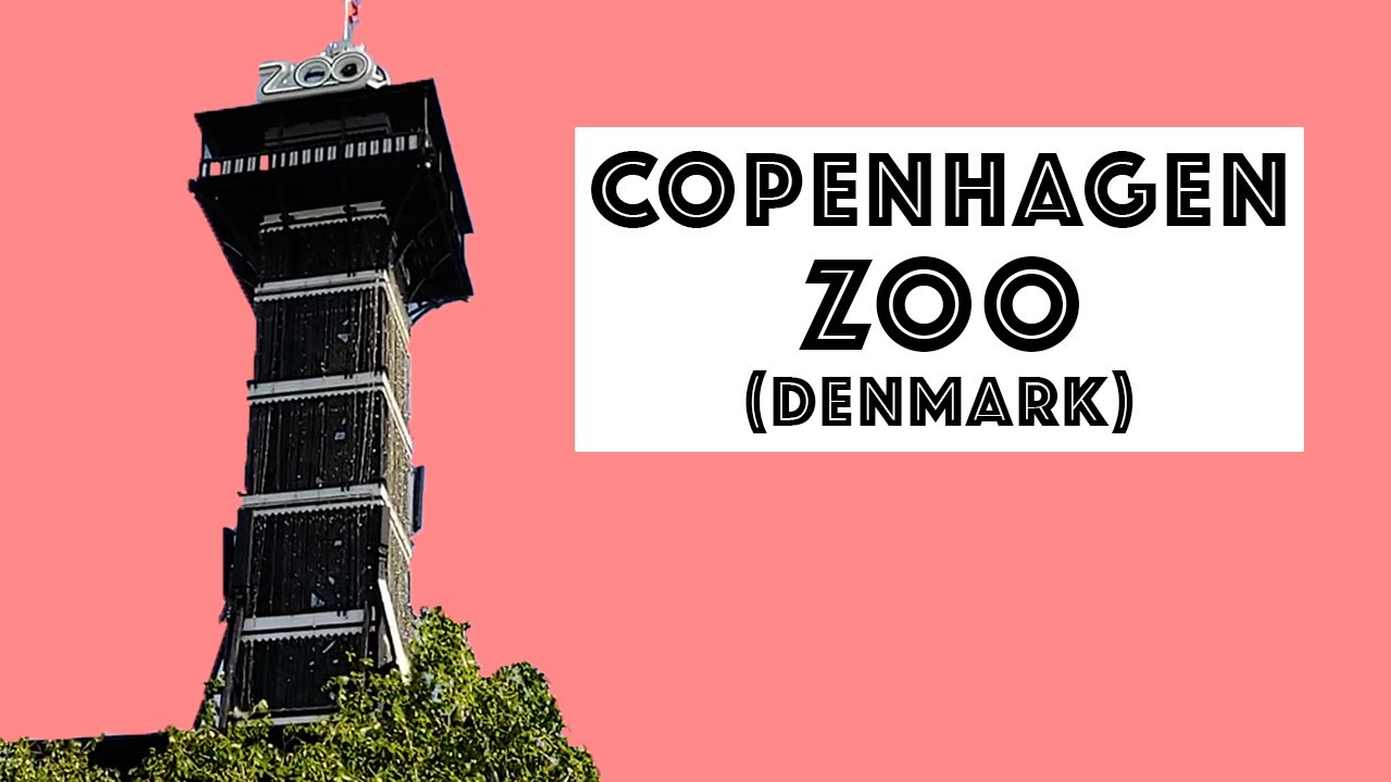 COPENHAGEN ZOO (Denmark) 2021 | Zoologisk Have København - YouTube