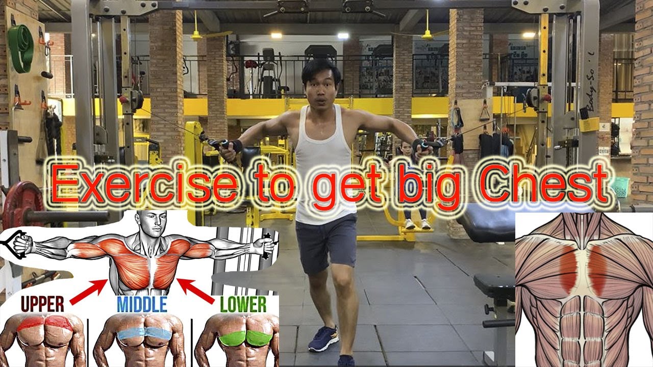 លំហាត់ប្រាណទ្រូង | Exercise to get big chest - YouTube