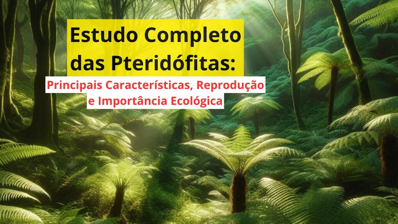 Estudo Completo das Pteridófitas: Principais Características ...