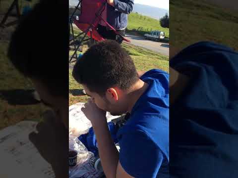 Soğan cücüğü yiyen Talha