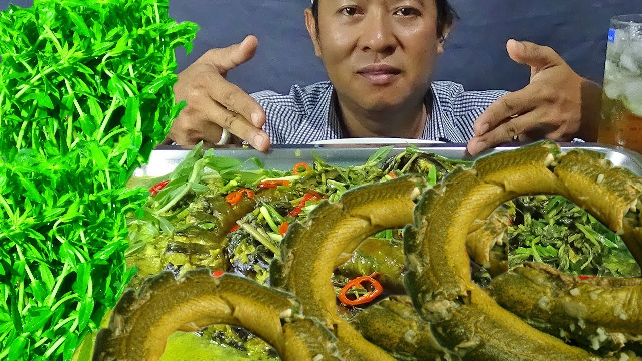 Eating eel cook with rice paddy herd and coconut milk, asmr mukbang - YouTube