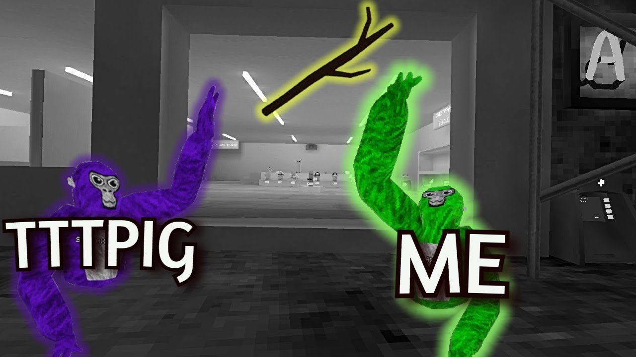 How I Became The Newest Gorilla Tag Moderator - YouTube