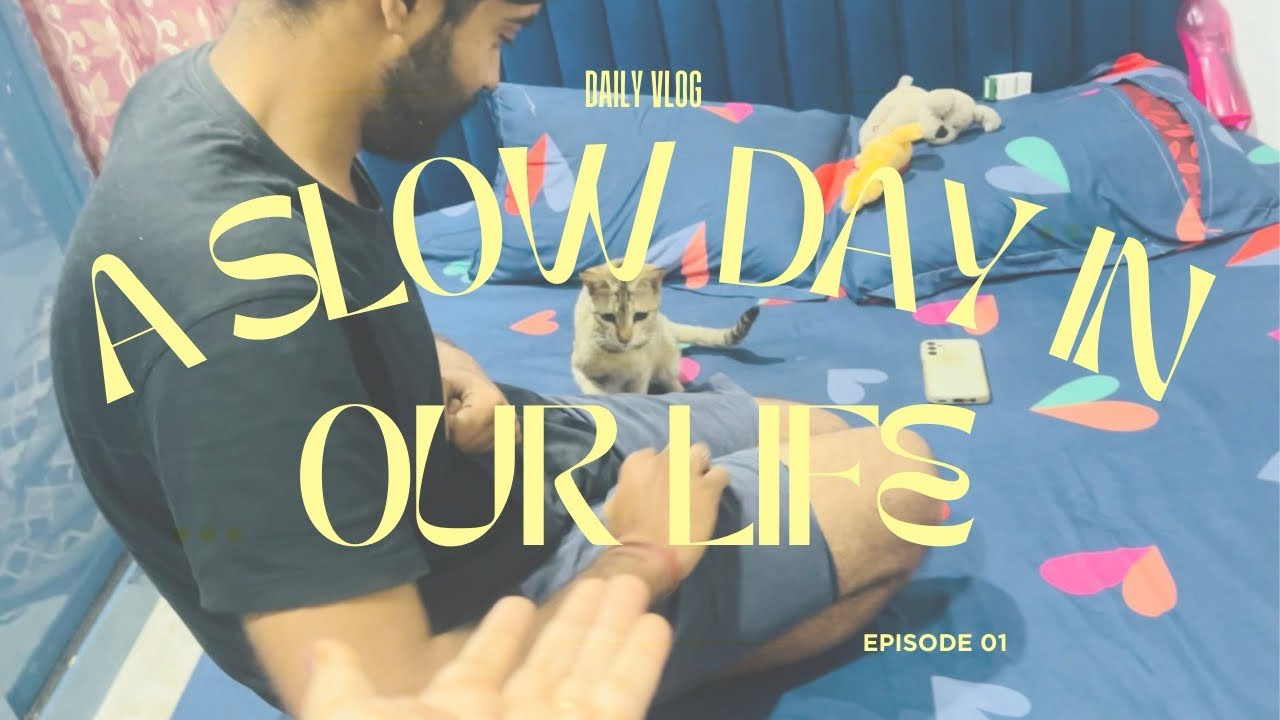 Our first vlog + Dal chawal ke nashe + Introducing our cat #cat #funny ...