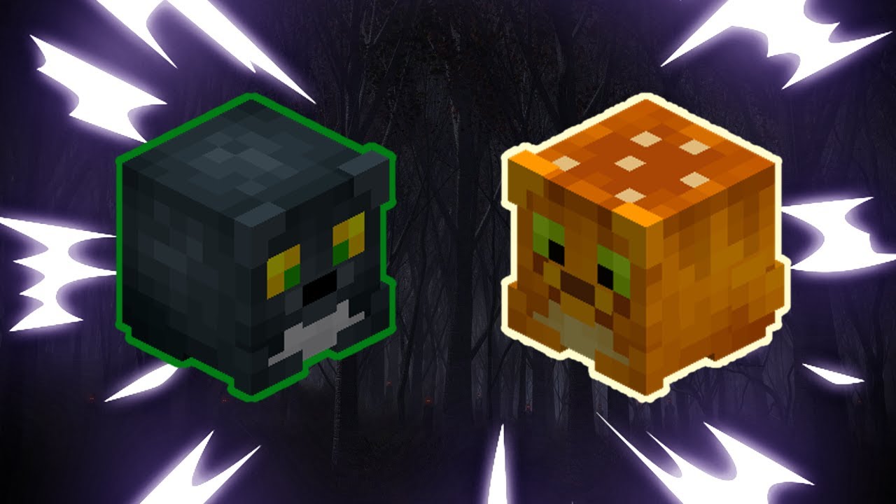 AMAZING CHEAP SKINS!!!! Loafed Black Cat & Lion (Tiger) FIRE SALE!!! | Hypixel Skyblock - YouTube