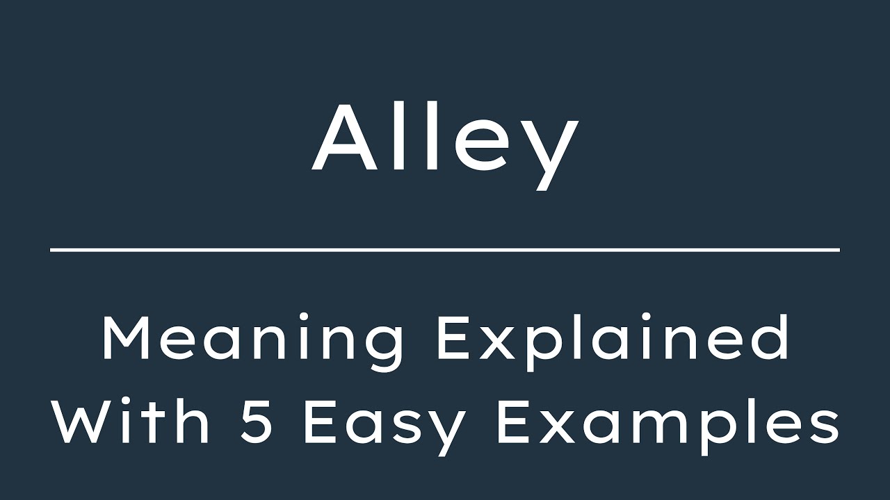 What Does Alley Mean? Alley Meaning in English With 5 Example Sentences ...