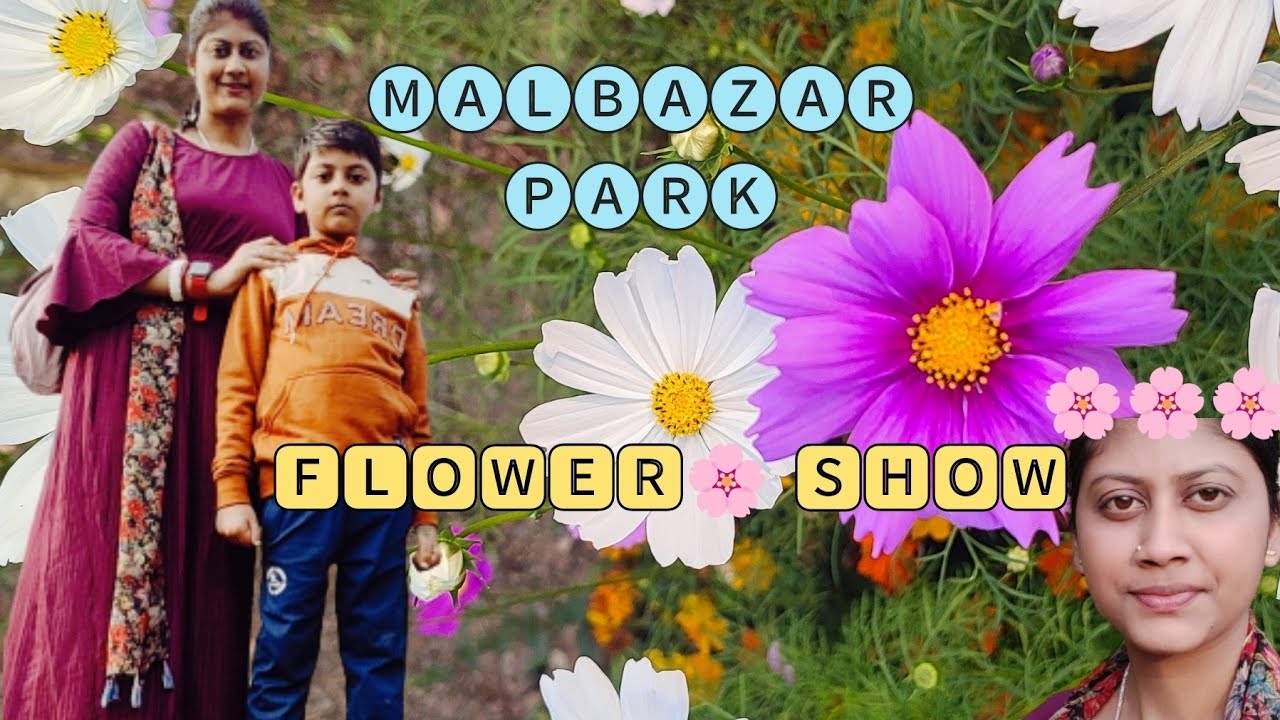 ||Mal Bazar Park Flower Show||Purple Se kea Shopping Kia||perfumesteal ...