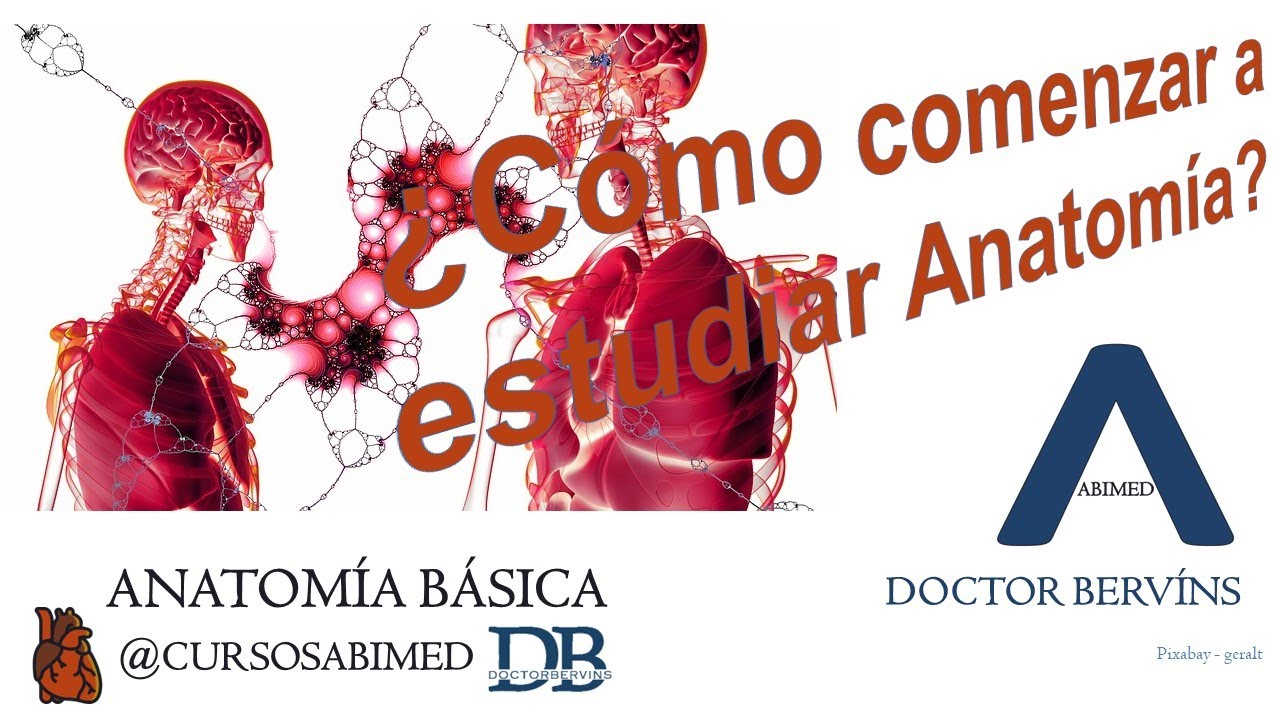 ¿Cómo comenzar a estudiar Anatomía? l Webinar con Dr. Bervíns - YouTube