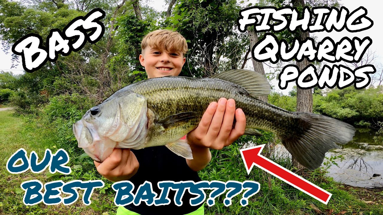 Bass Fishing at Canal Quarry Ponds - Which Baits worked the BEST ...