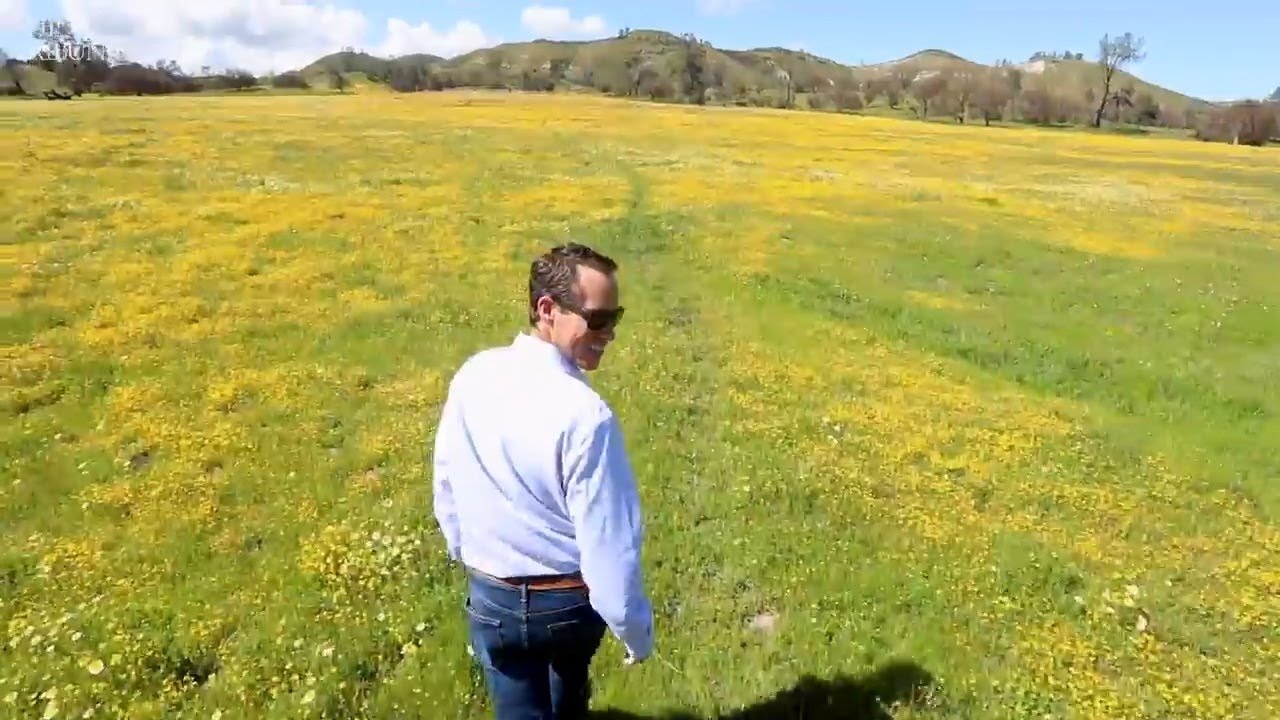 Take a walk among the wildflowers of Shell Creek Road - YouTube