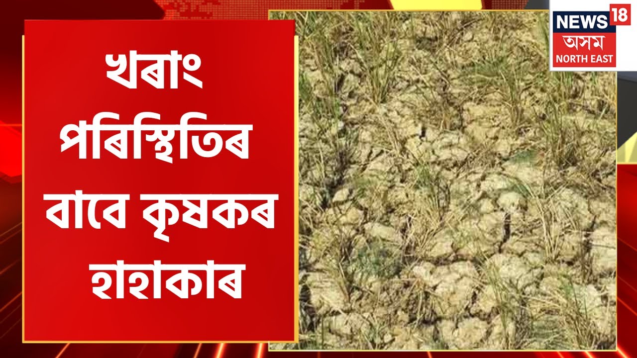 Parched Paddy Field in Golaghat : মৰঙিত কৃষকৰ মাজত হাহাকাৰ | Drought in ...