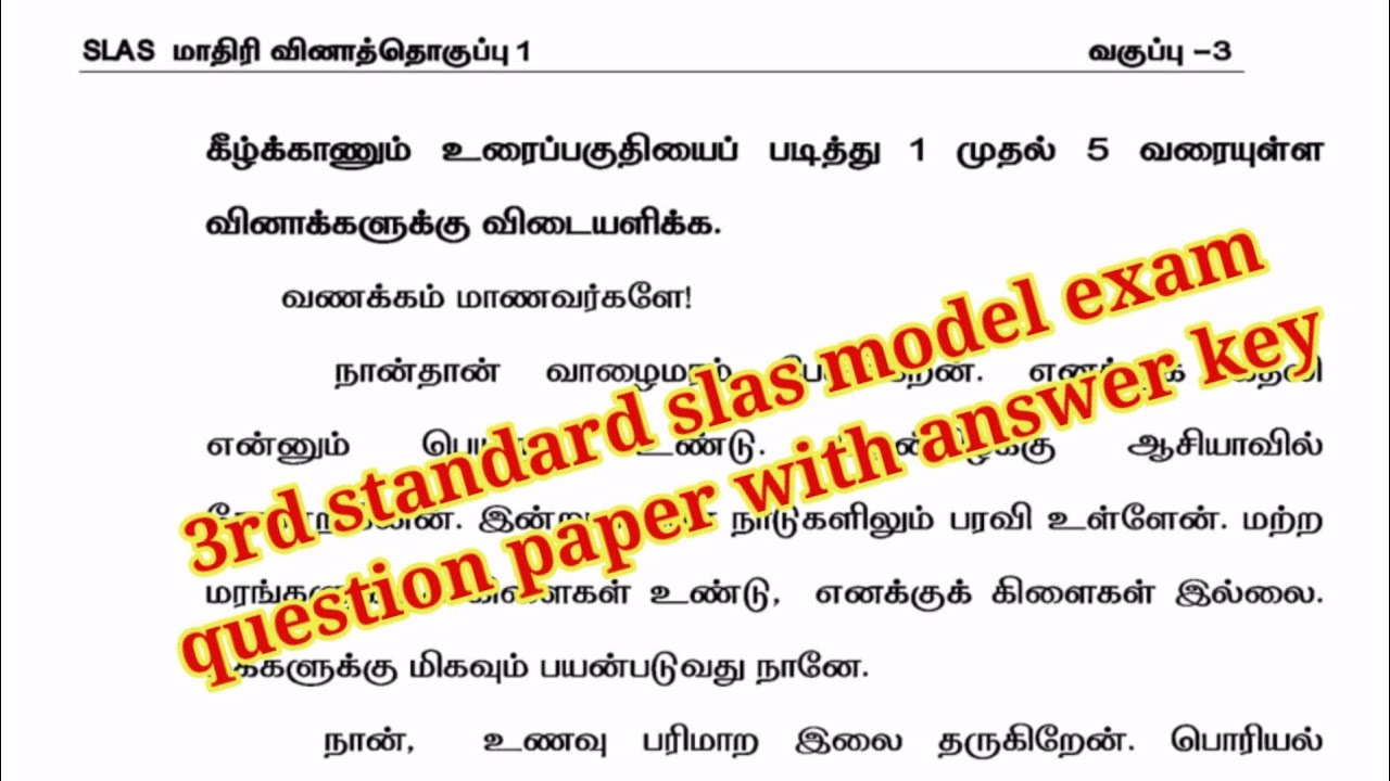 3rd standard slas model question paper 2025 Answer key - YouTube