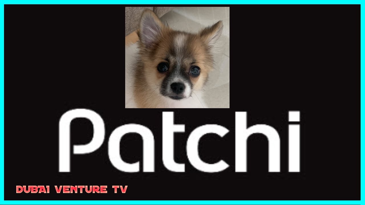 PATCHI's Venture || Our Pomchi Dog || The Beginning || Ep.1 - YouTube