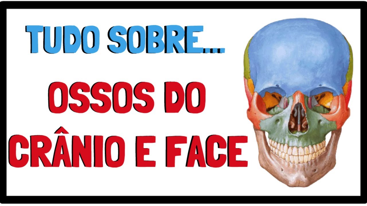 OSSOS DO CRÂNIO | Tudo o que você precisa saber sobre os ossos da ...
