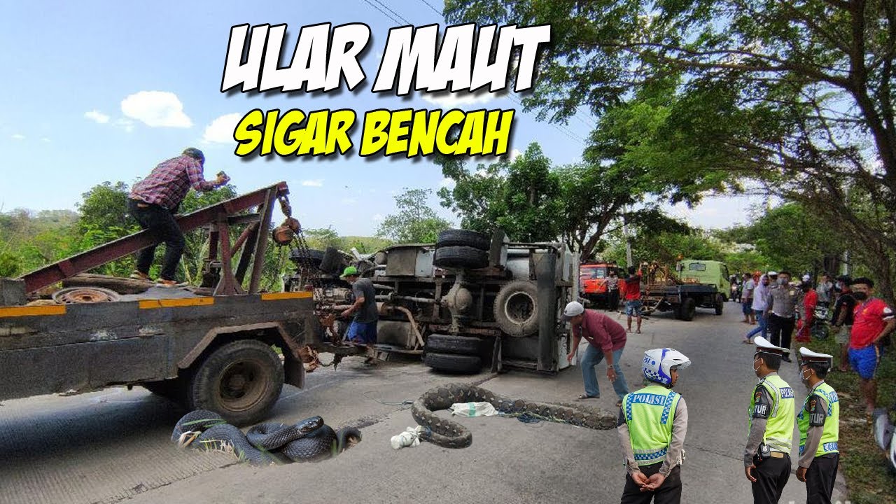 Misteri Ular Jelmaan Mbah Jalak Di Tanjakan Sigar Bencah Semarang ...