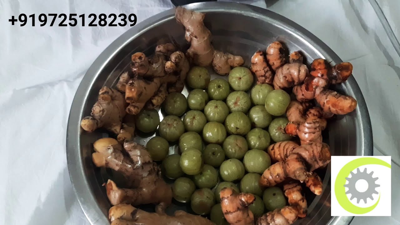 Best Amala Juicer Machine price in india carrot Juicer machine ...