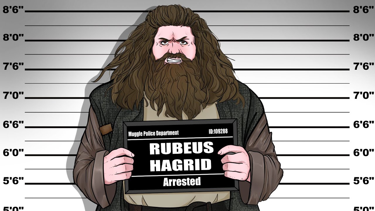The case against Hagrid. THE CRIMES OF HAGRID. (animated series) - YouTube