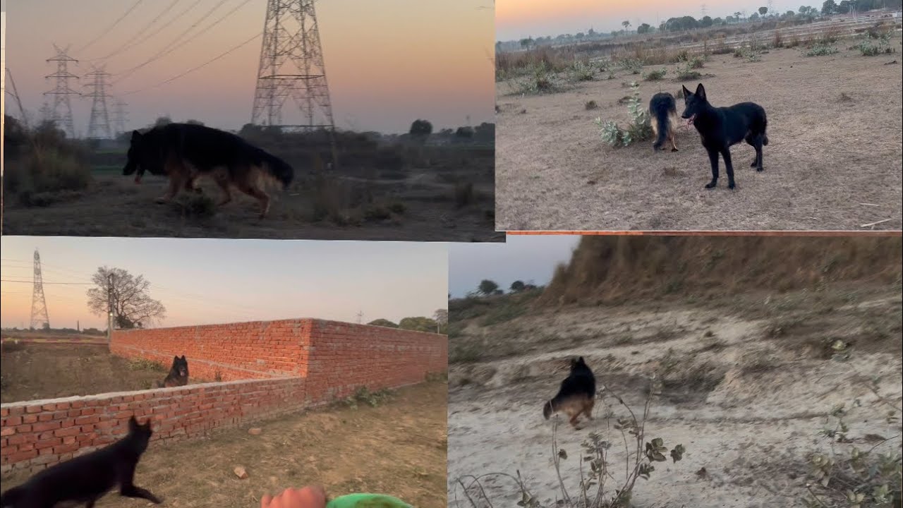 Lucky Ki first vloging marshal and shizuka ne Ki masti marshal and ...