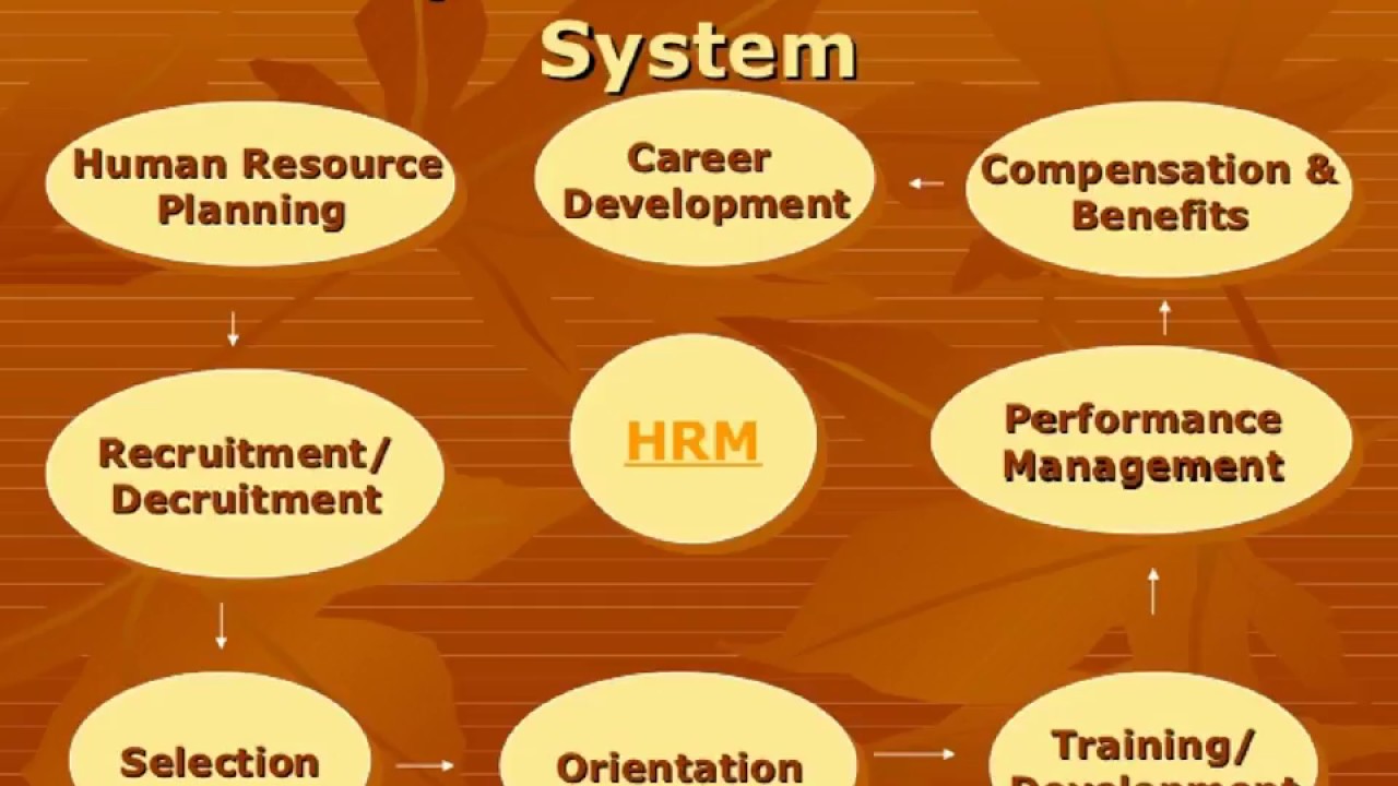 Things you should Know about HRM process- Hrhelpboard - YouTube