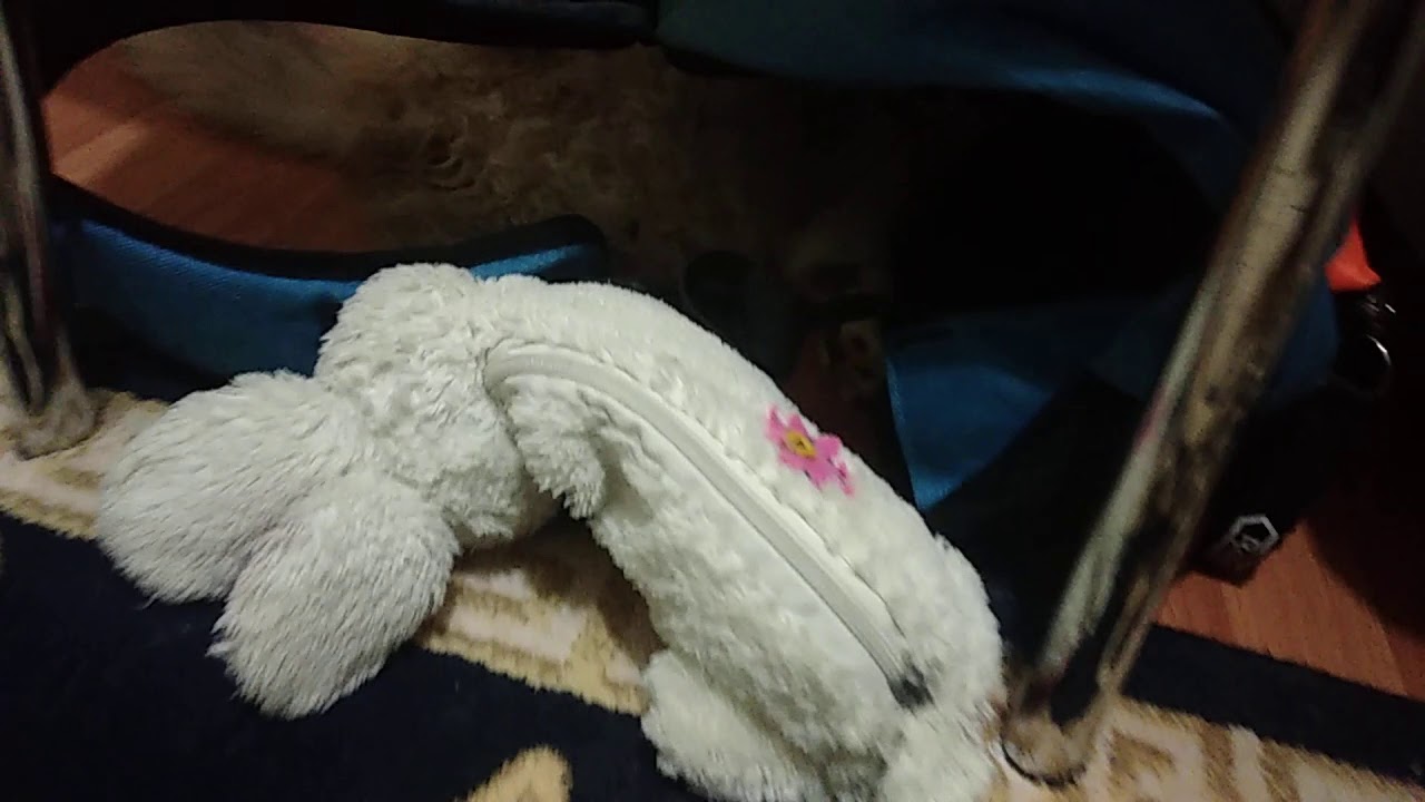 Cat Lia Playing with Rabbit - YouTube