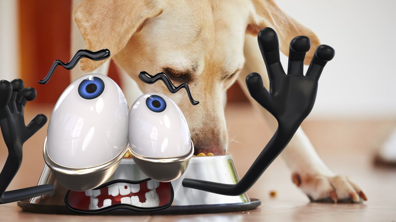 Secret Life of Things - Real Life Doodles Compilation | 3D Doodland #43 ...