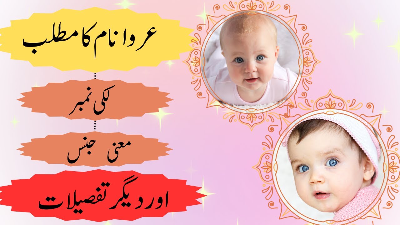 Urwa Name Meaning In Urdu Urwa Naam Ka Matlab urwa-name-meaning-in-urdu-urwa-naam-ka-matlab
