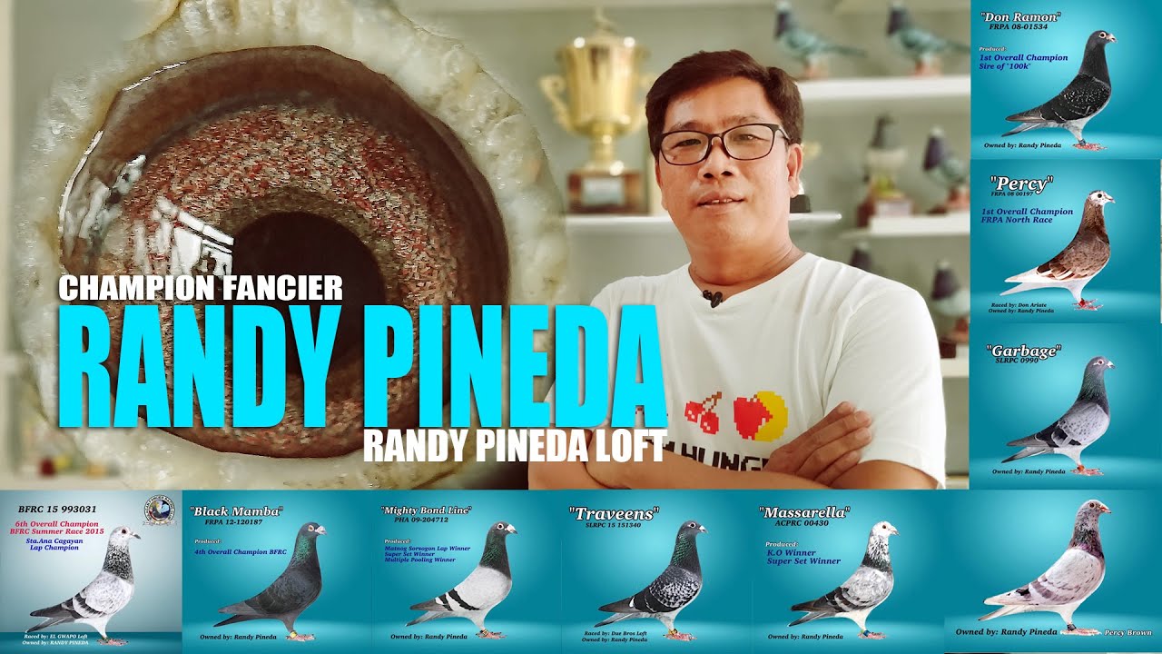 Part 1 | Randy Pineda | Champion Fancier in Arayat, Pampanga - YouTube