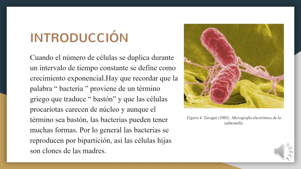 La reproducción de la Salmonella. Trabajo Final Calculo Diferencial ...