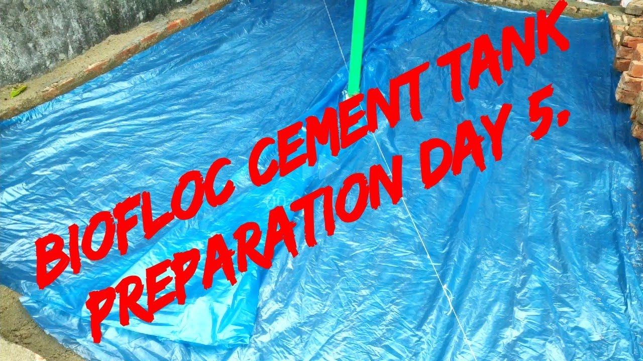 Biofloc cement tank preparation day-5 {10/11/19} bricks soling ...