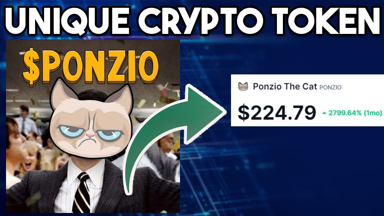 This Crypto Token is Going CRAZY! Must See Ponzio The Cat PARABOLIC ...