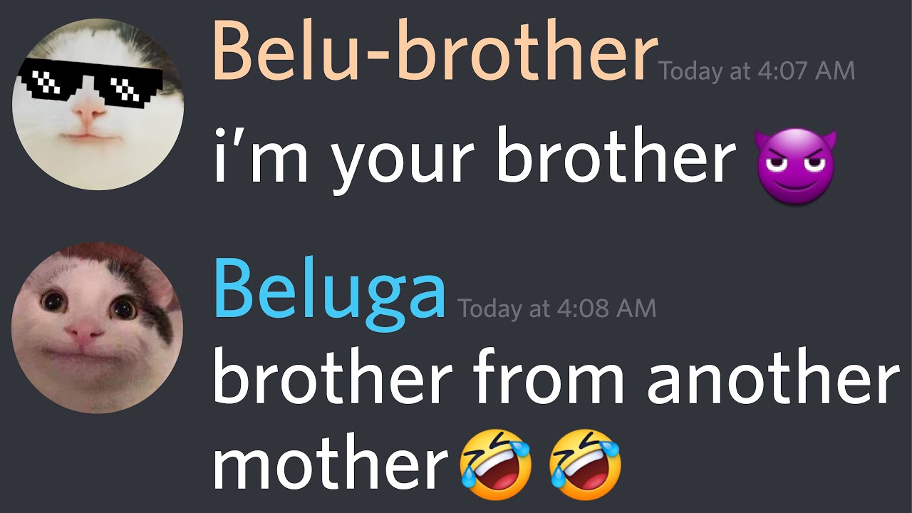 When Beluga Meets His Brother... - YouTube