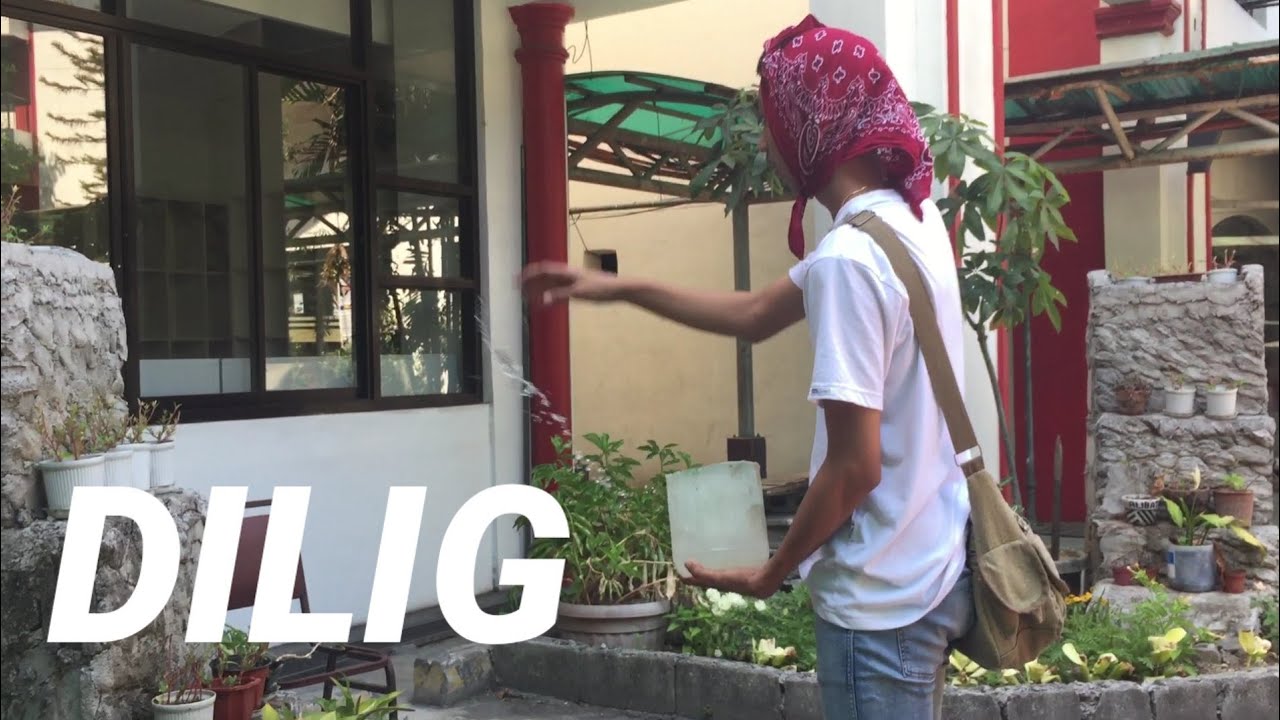 DILIG - YouTube
