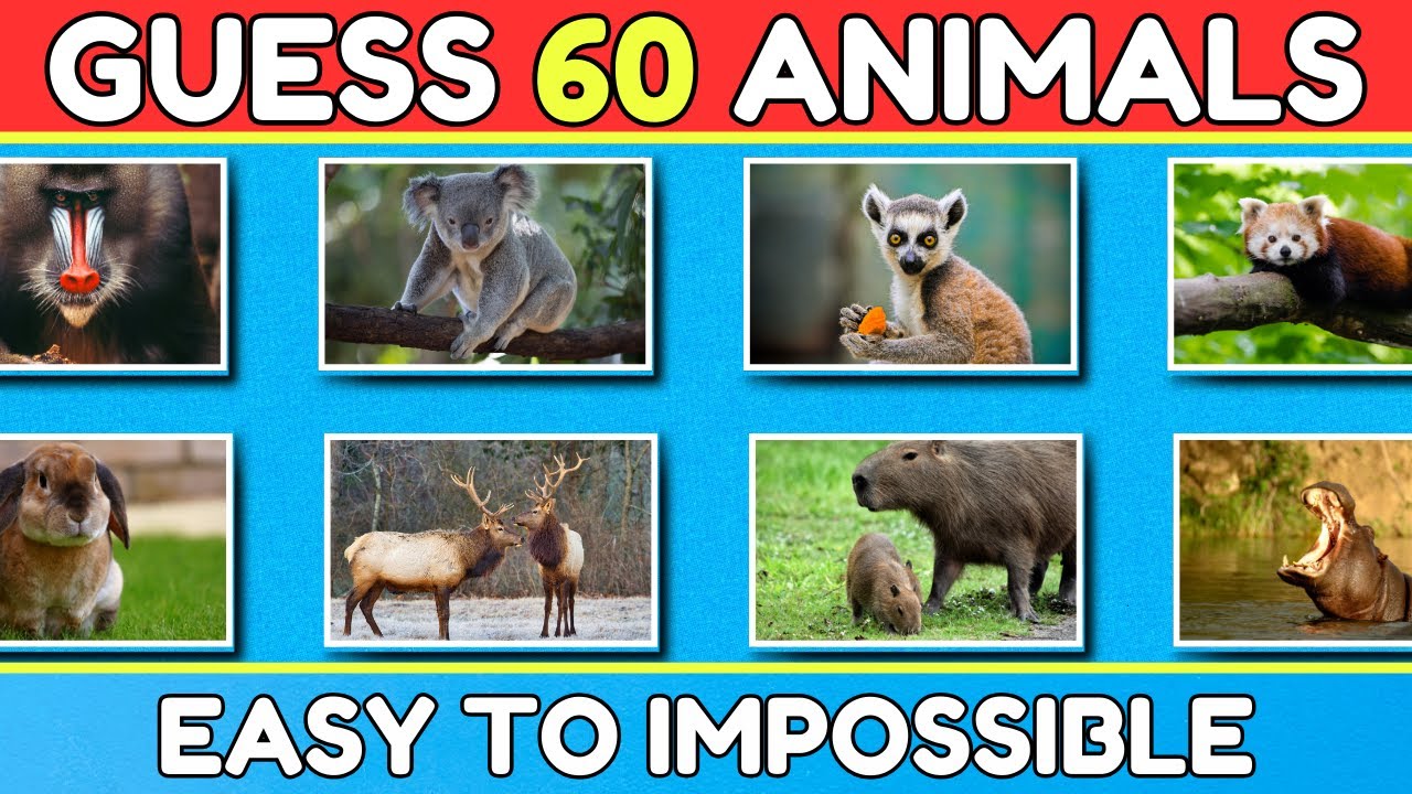 Guess the Animal |60 Animal Names For Kids | 60 Wild Animals In English ...
