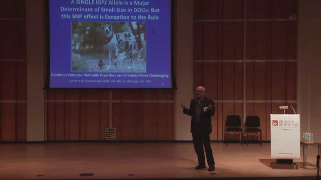 Foundation Prizewinner Dr. Braff Presents on Deconstructing and ...