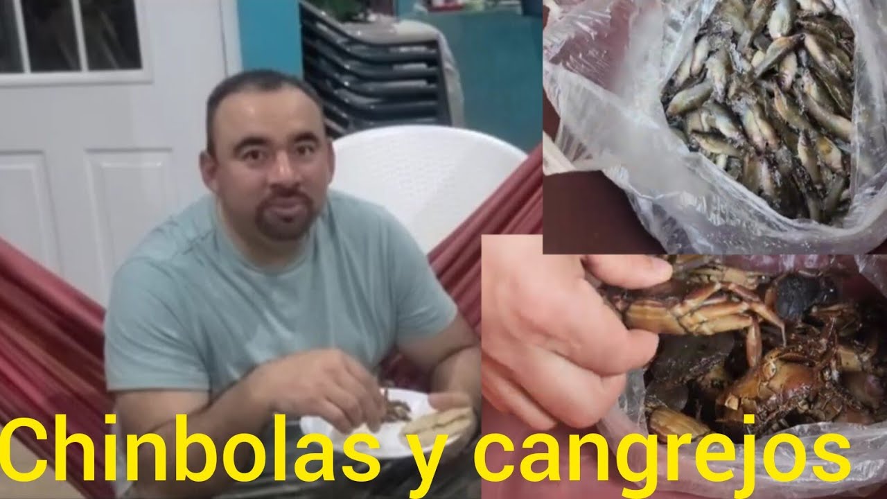 Vea gran poco de pescado del rio de la palomia - YouTube