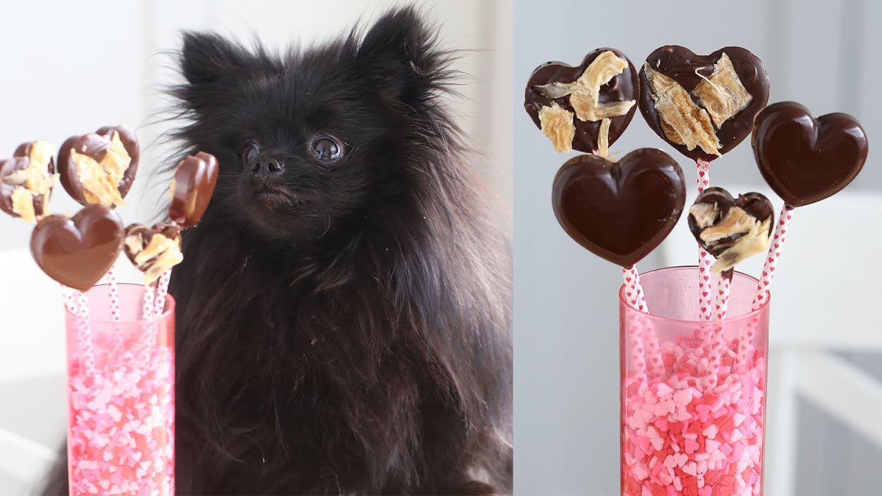 Valentines Day Treats FOR DOGS! | Safe Chocolate for Dogs | DIY Dog ...