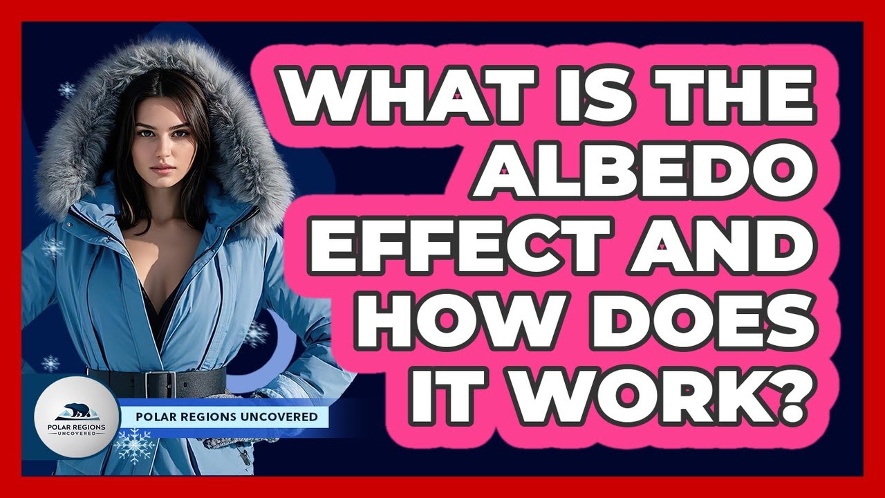 What Is The Albedo Effect And How Does It Work? - Polar Regions ...