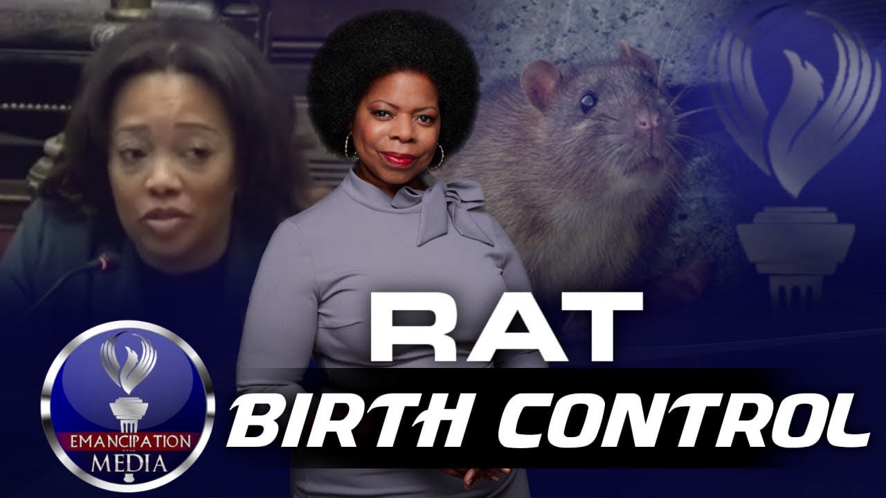 Baltimore City Council Consider Giving Birth-Control To Rats To Stop ...