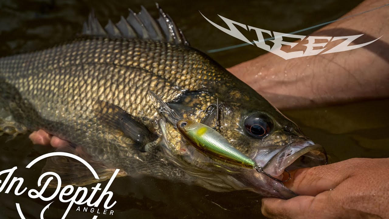 Wild Australian Bass fishing with the Daiwa Steez Shad - YouTube
