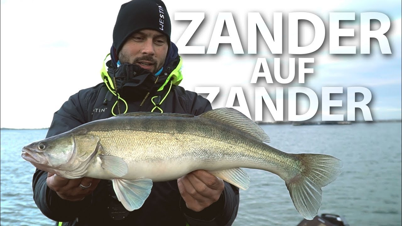 ZANDER auf ZANDER - der Tag ist gerettet - YouTube