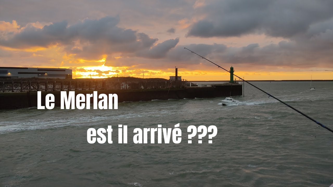 Pêche à Boulogne sur mer, le Merlan est il arrivé ?? - YouTube