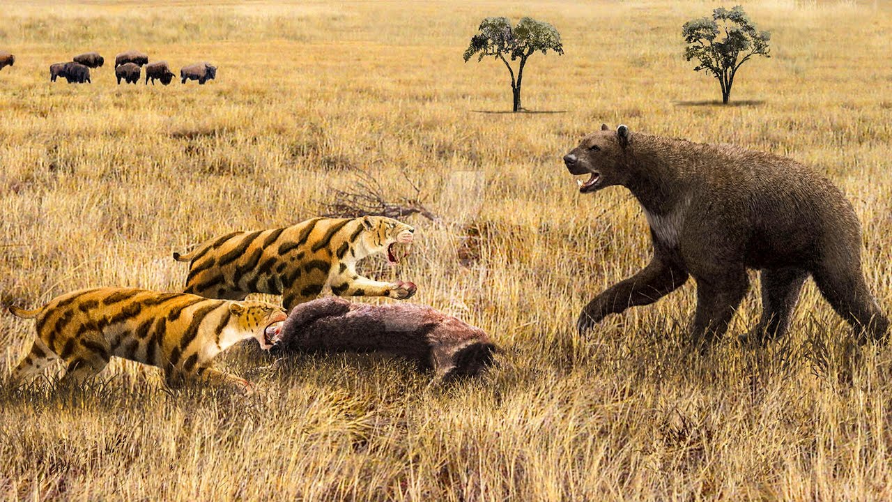 The Mystery of Africa's Extinct Bears - YouTube