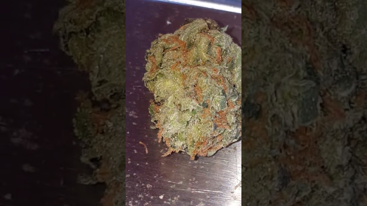 AMNESIA HAZE UK GROWN 1 GRAM £10 - YouTube
