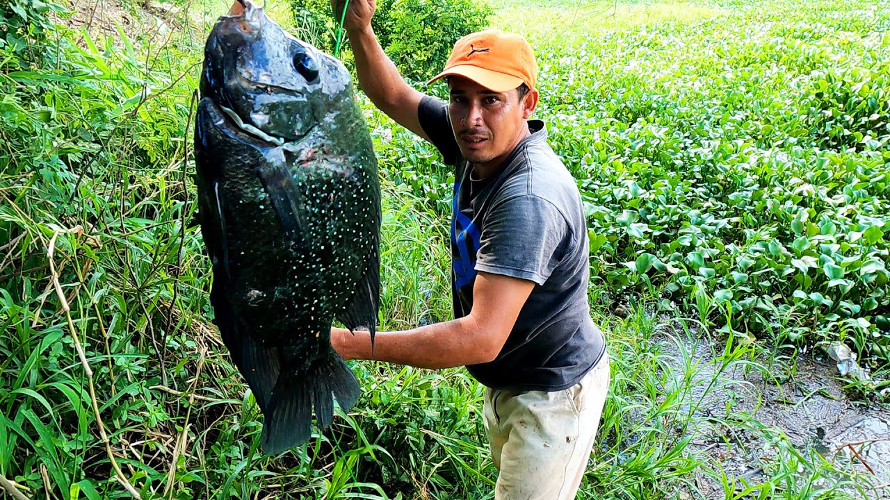 PESCA CON ANZUELO! WILLIAM PESCA ESTA MOJARRA NEGRA - YouTube