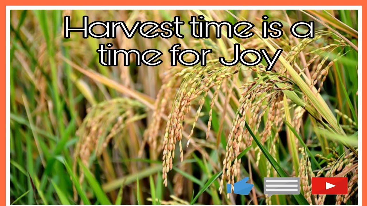 Harvest Time is a Time for Joy - YouTube