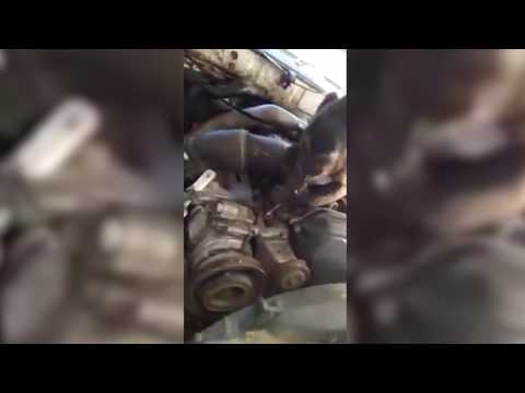 Araba tamiri yapan maymun