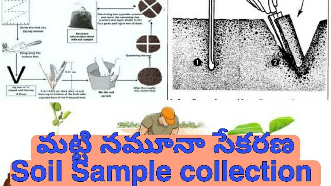 Soil sample collection | Soil testing | Soil testing in labs | #Agri ...