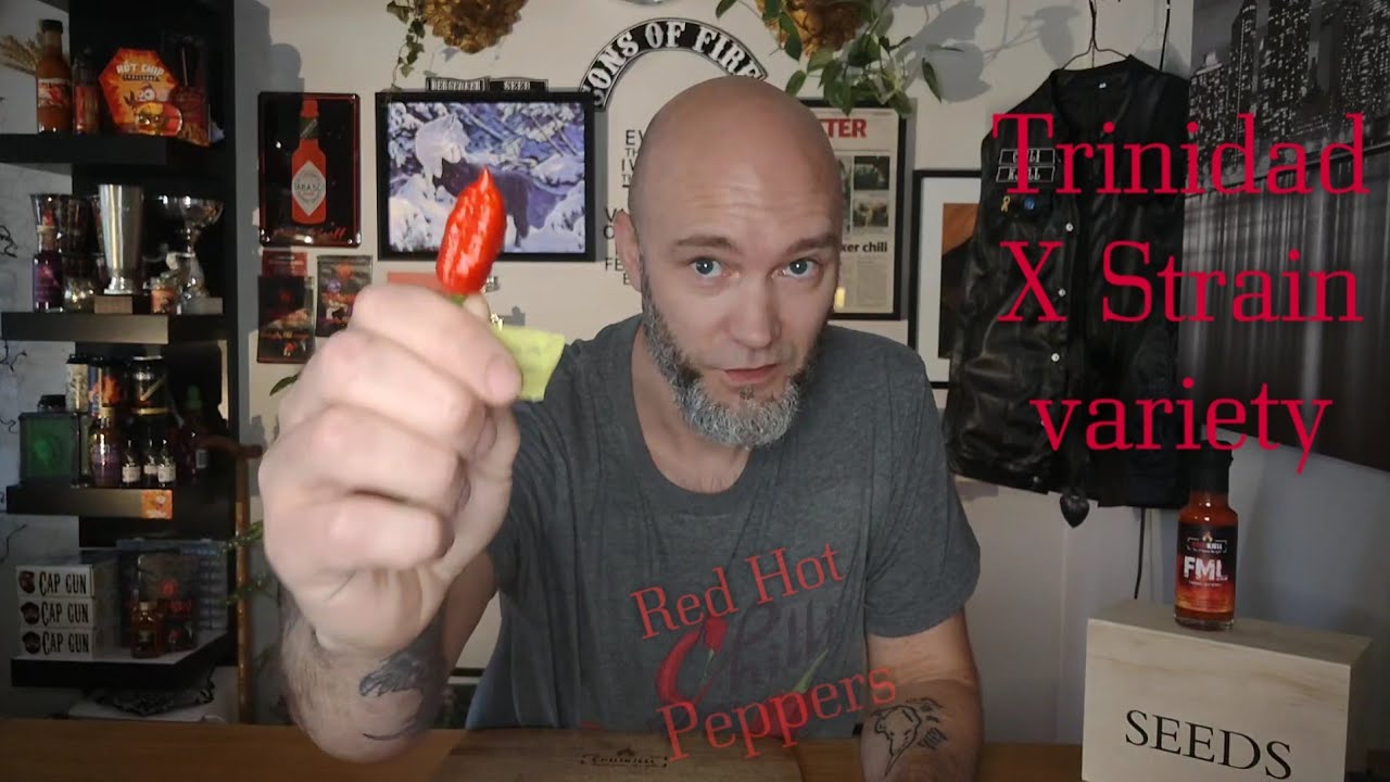 Trinidad X Strain variety - YouTube